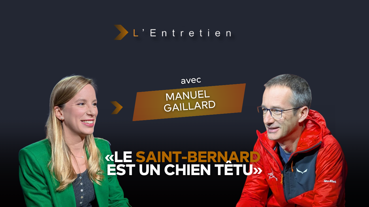 «Le Saint-Bernard est un chien têtu», Manuel Gaillard, responsable d ...