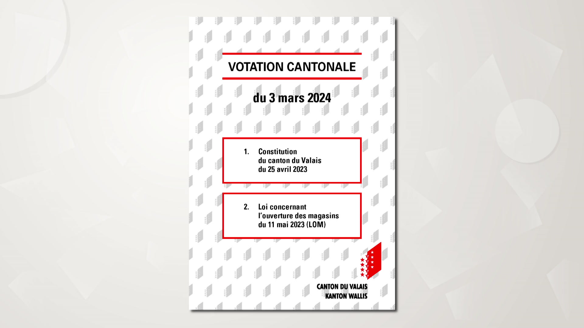 La brochure de la nouvelle constitution soumise au vote le 3 mars ...