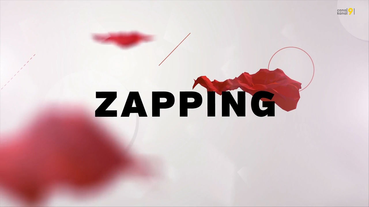 Le Zapping de la semaine écoulée / Canal9